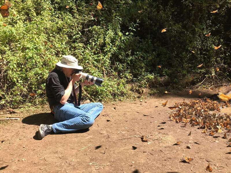 From Mexico City: 7-Day Monarch Butterfly Tour - An in-Depth Look at the Tour Experience