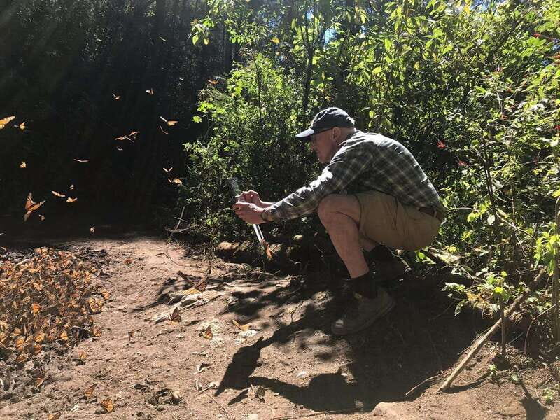 From Mexico City: 7-Day Monarch Butterfly Tour - Analyzing Value and Cost