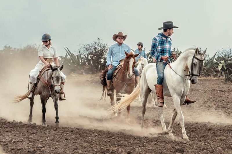 From Mexico City: Horseback Riding in Mexico - From Mexico City: Horseback Riding in Mexico – A Thorough Review