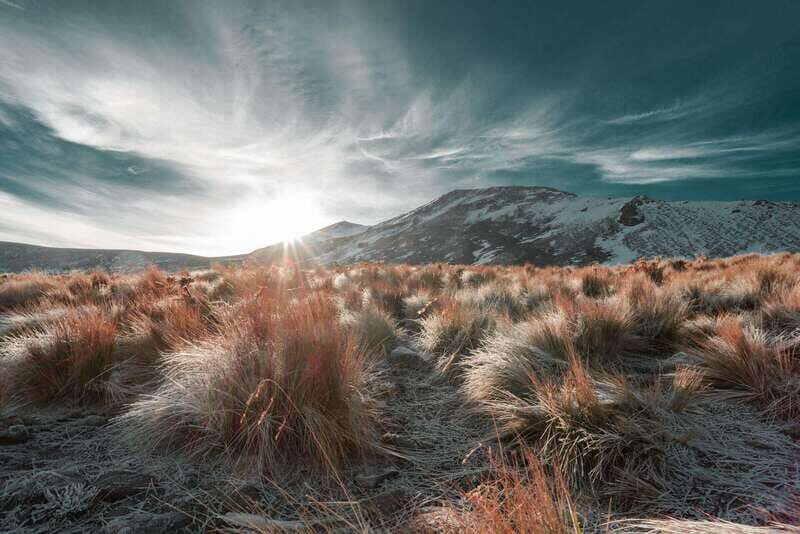 From Mexico City: Private Hiking Tour at Nevado de Toluca - Authentic Experiences and What Travelers Say