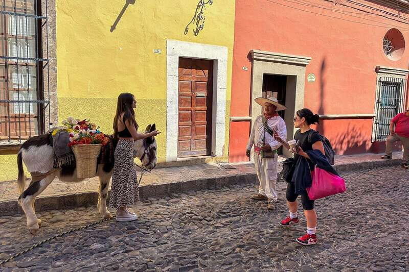 From Mexico City: San Miguel de Allende Day Trip - A Deep Dive Into the San Miguel de Allende Day Trip Experience