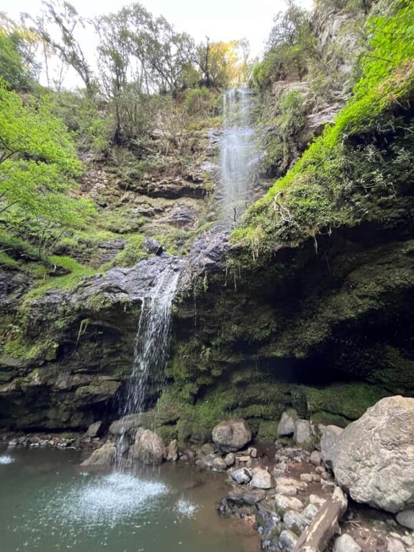 From Mexico City: Tour to 10 waterfalls in Hidalgo - Final Thoughts on the Experience