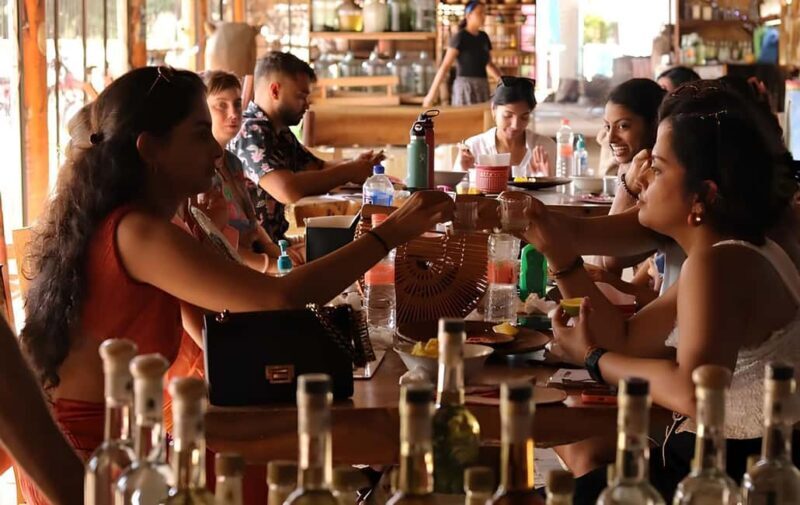 From Mexico City, VIP Tour to Teotihuacan: Pyramids, Beer & Mezcal - Practical Tips and Considerations