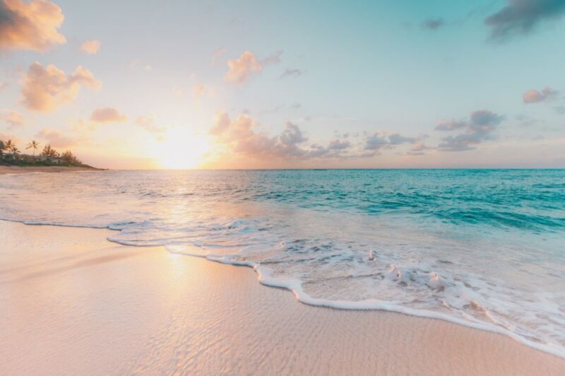 From Miami: Bimini or Grand Bahama Day Trip by Ferry - The Sum Up