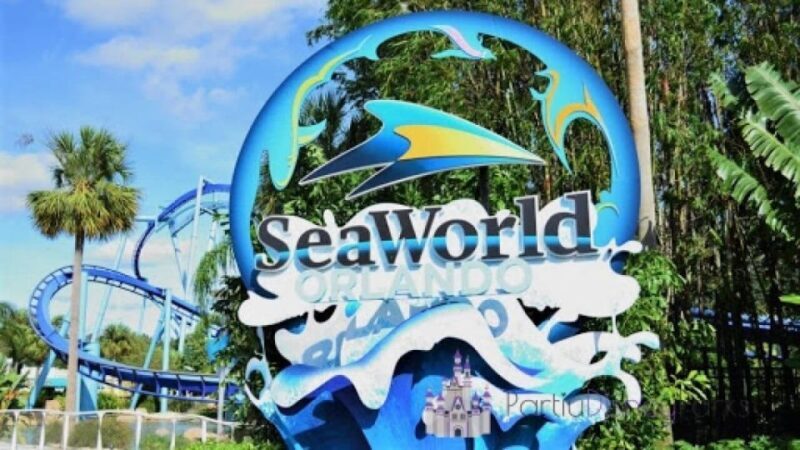 From Miami: Bus transfer to Orlando Theme Parks - Practical Details and What to Expect