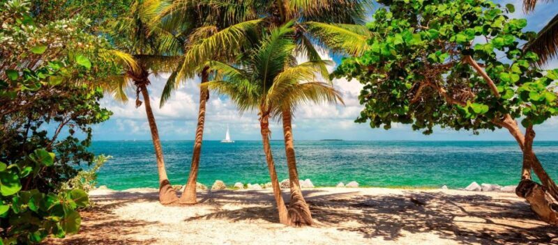 From Miami - Enchanting Key West Tour in a Small Group. - Final Thoughts: Is It Worth It?