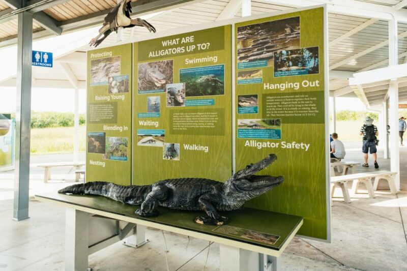 From Miami: Everglades Airboat Ride and Nature Walk - The Value and Overall Experience