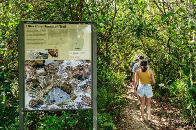 From Miami: Everglades Airboat Ride and Nature Walk - Who Will Love This Tour?