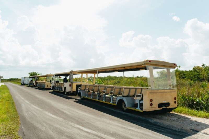From Miami: Everglades Airboat Ride and Nature Walk - A Detailed Look at the Experience