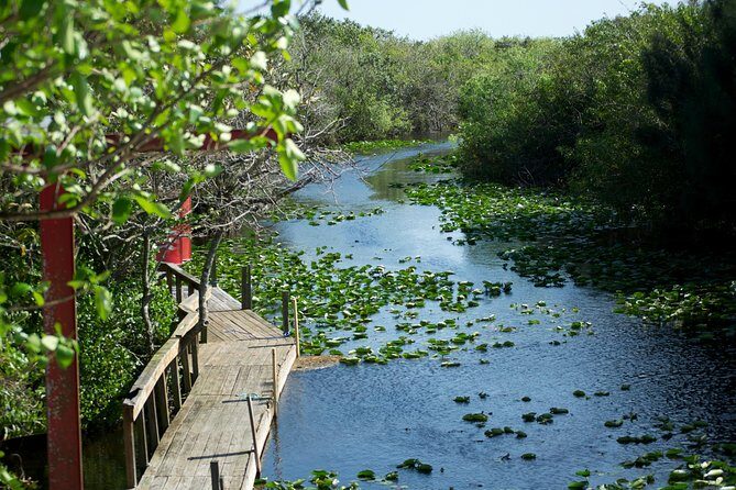 From Miami: Everglades Airboat, Wildlife Show, and Roundtrip Bus - Is the Price Worth It?