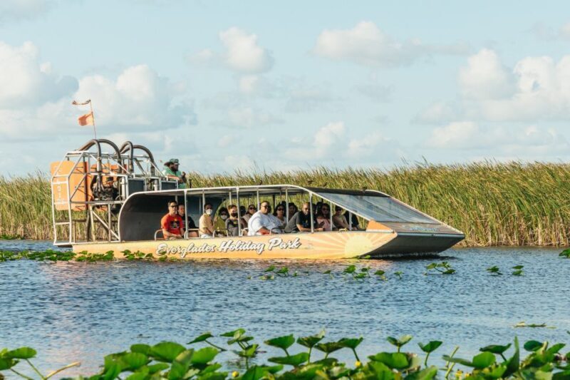 From Miami: Everglades Airboat, Wildlife Show & Bus Transfer - The Return Journey