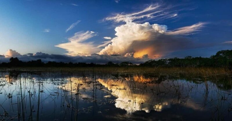 From Miami: Everglades at Night with Guided Airboat Tour - Exploring the Everglades at Night: A Guide to the Miami Airboat Tour