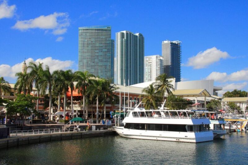 From Miami: Everglades Wildlife Show, Airboat & Bus Transfer - The Sum Up