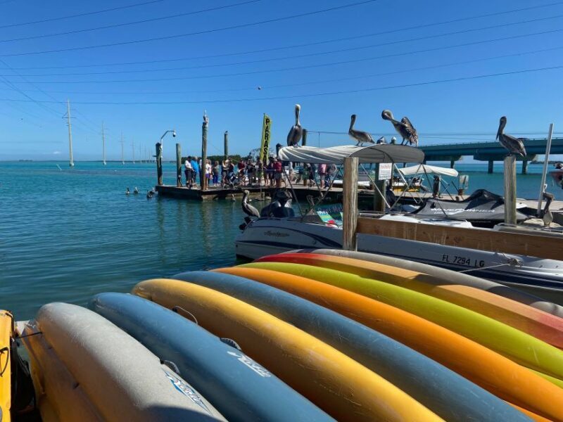 From Miami: Key Largo & Islamorada Private Open-Top Bus Tour - What Travelers Say