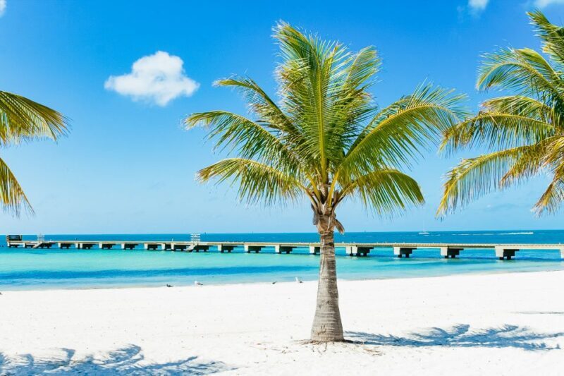 From Miami: Key West Day Trip - An Insightful Breakdown of the Tour