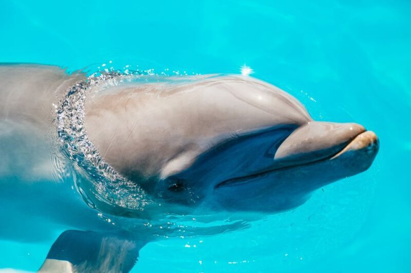 From Miami: Key West Day Trip - Who Will Love This Tour?