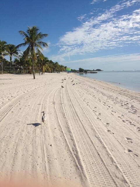 From Miami: Small Group Key West 1-Day Tour - FAQ