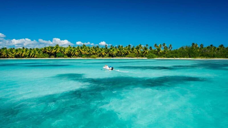 From miches: Isla Catalina Snorkeling Tour with Lunch - Who Should Consider This Tour?