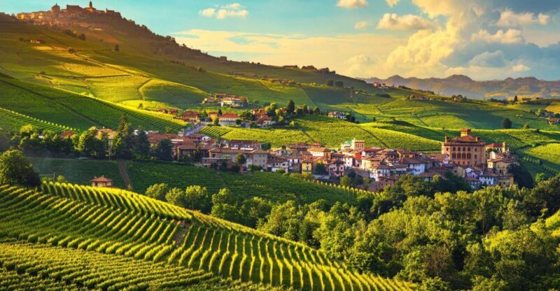 From Milan: Barolo Wine Tasting, Alba Tour and Castle Visit - Key Points