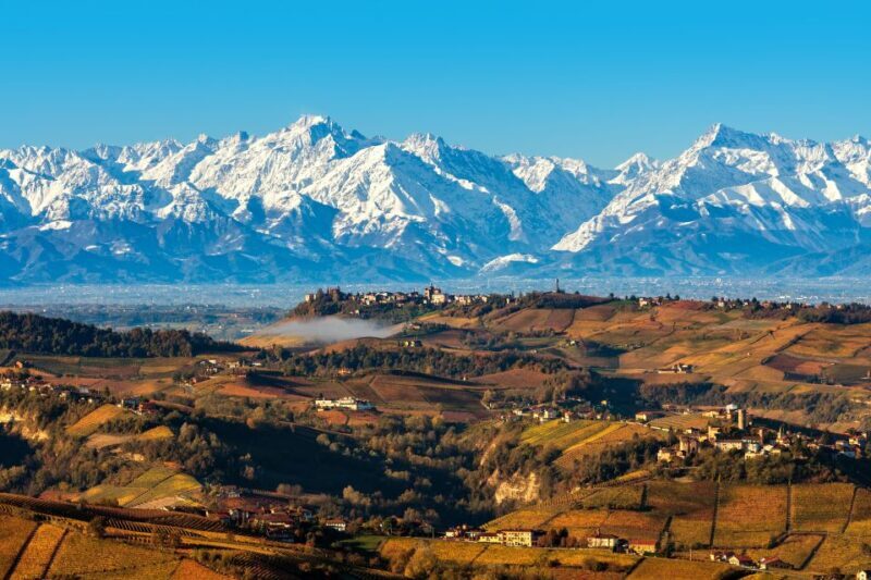 From Milan: Barolo Wine Tasting, Alba Tour and Castle Visit - An In-Depth Look at the Experience