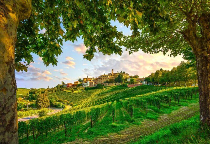 From Milan: Barolo Wine Tasting, Alba Tour and Castle Visit - FAQs