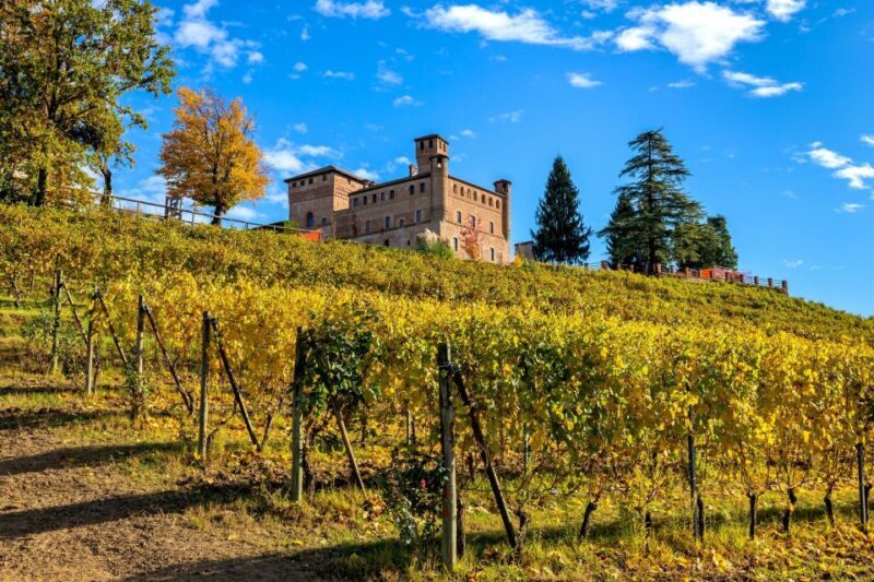 From Milan: Barolo Wine Tasting, Alba Tour and Castle Visit - Final Thoughts