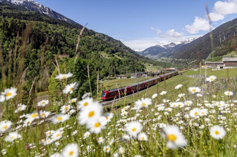 From Milan: Bernina Red Train to St Moritz Guided Tour - The Itinerary Breakdown: What to Expect