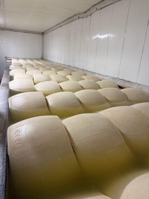 From Milan: Food Valley with Cheese Factory Visit and Lunch - Final Thoughts: Who Will Love This Tour?