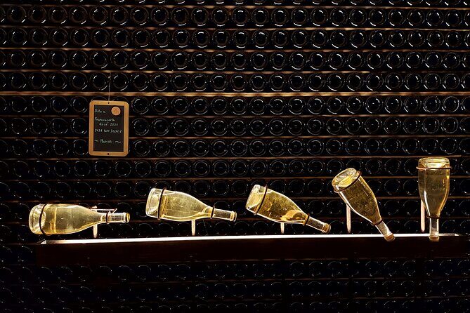 From Milan: Lake Iseo, Bergamo & Franciacorta Wine Tour - Introduction: What Makes This Tour Stand Out?