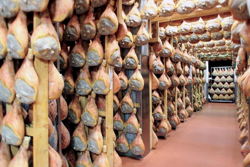 From Milan: Parmigiano Experience and Parma - An In-Depth Look at the Tour Experience