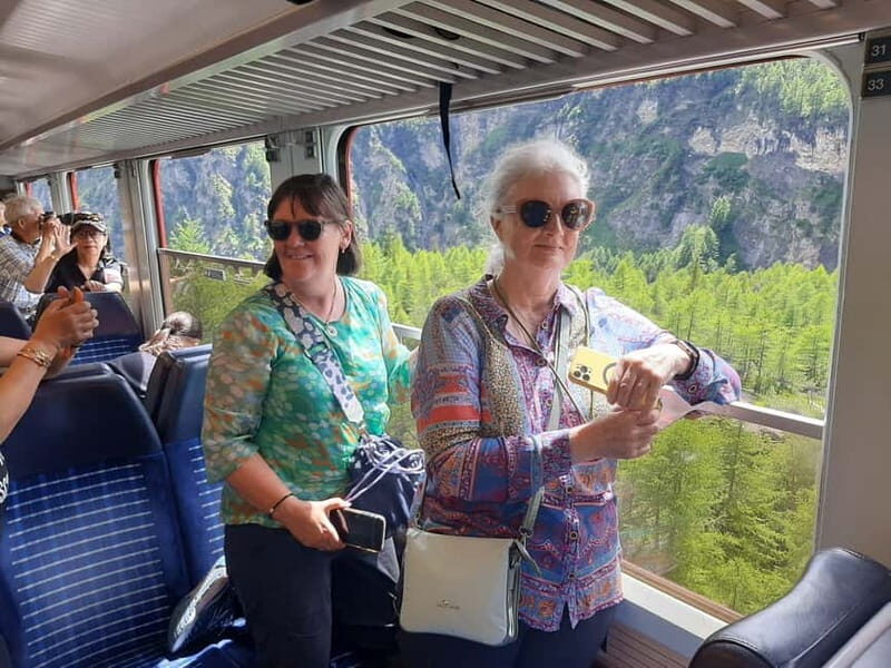 From Milan: Scenic Alps Day Trip with Bernina Train Ride - Who Will Love This Tour?