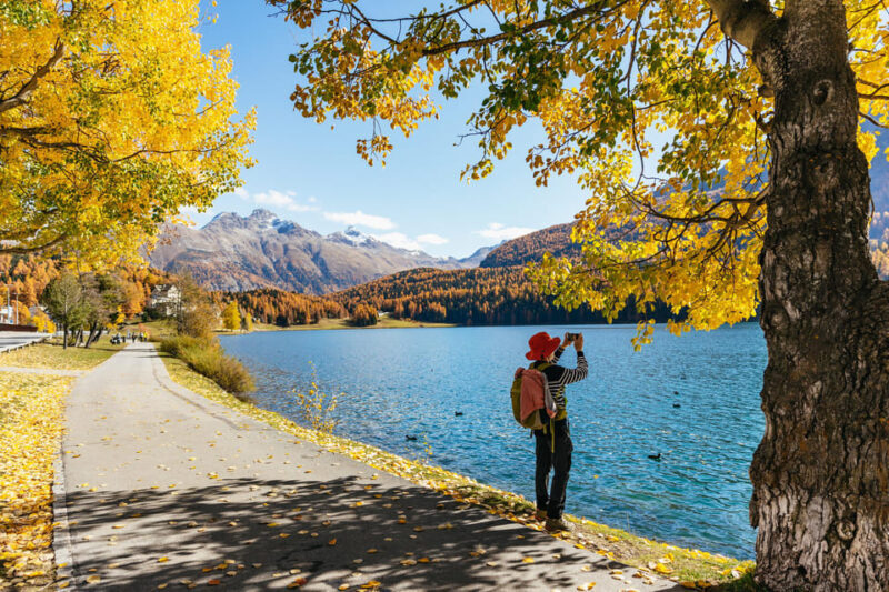 From Milan: St. Moritz and Panoramic Bernina Express Tour - Pricing and Value