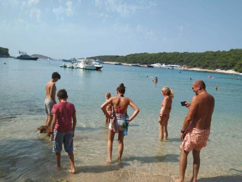 From Milna, Supetar, Postira: Magical Blue Cave and Hvar - Authentic Reviews and Traveler Feedback