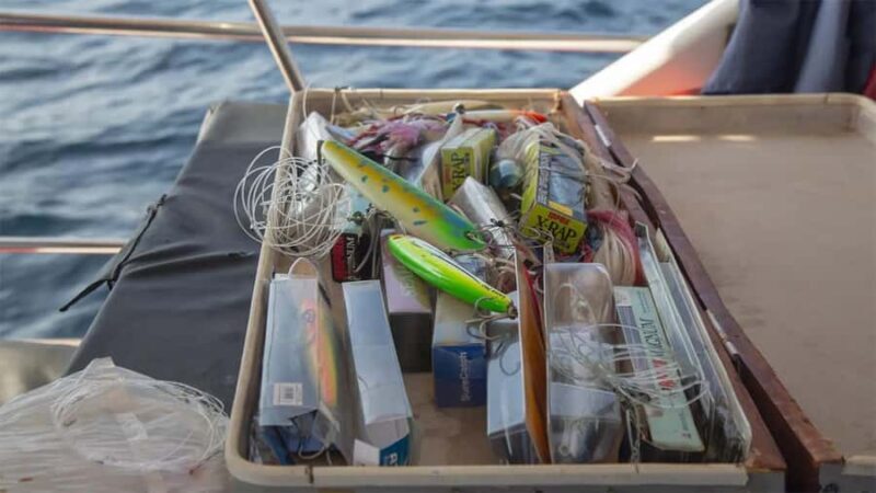 From Mirissa: All-Inclusive Deep Sea Fishing Boat Tour - Pricing and Value: Is It Worth It?