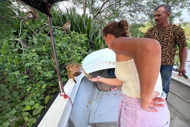 From Mirissa: Crocodile Watching River Boat Safari - Key Points