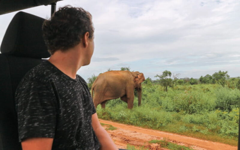 From: Mirissa/ Matara - Udawalawe Safari - To: Ella - FAQ