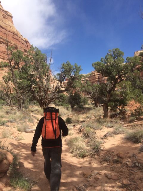 From Moab: 1-Day Horseshoe Canyon Exploration - Introduction: Is This Tour for You?