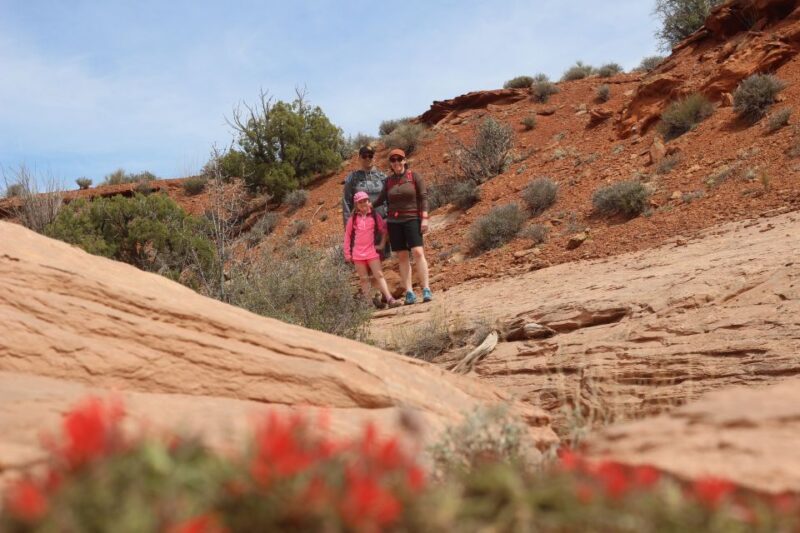 From Moab: 1-Day Horseshoe Canyon Exploration - Authentic Experiences and Authenticity
