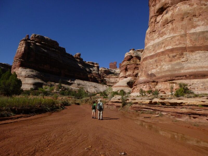 From Moab: 1-Day Horseshoe Canyon Exploration - The Sum Up: Who Will Love This Tour?