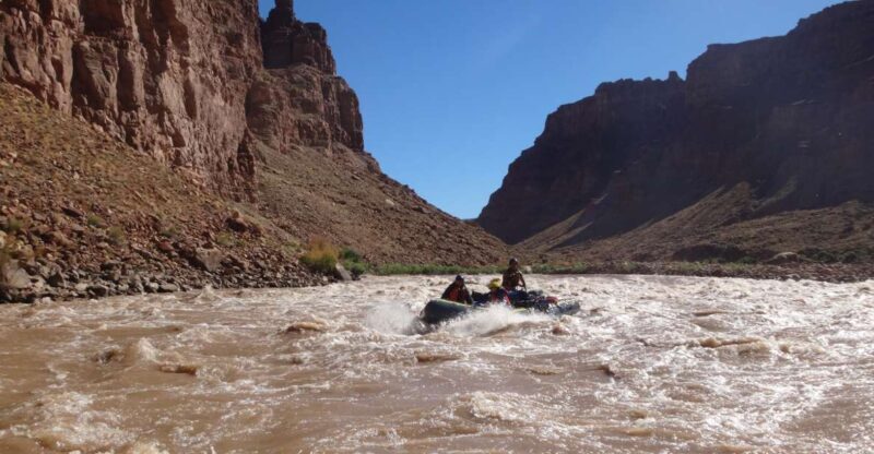 From Moab: Cataract Canyon Whitewater Rafting Experience - Who Will Love This Tour?