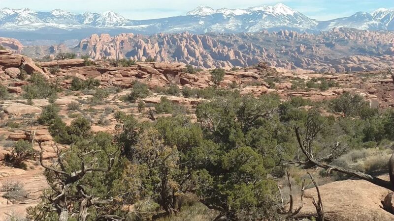 From Moab: Rock of Ages Moderate Rappelling Obstacle Course - Introduction: Exploring the Rock of Ages Rappelling Adventure