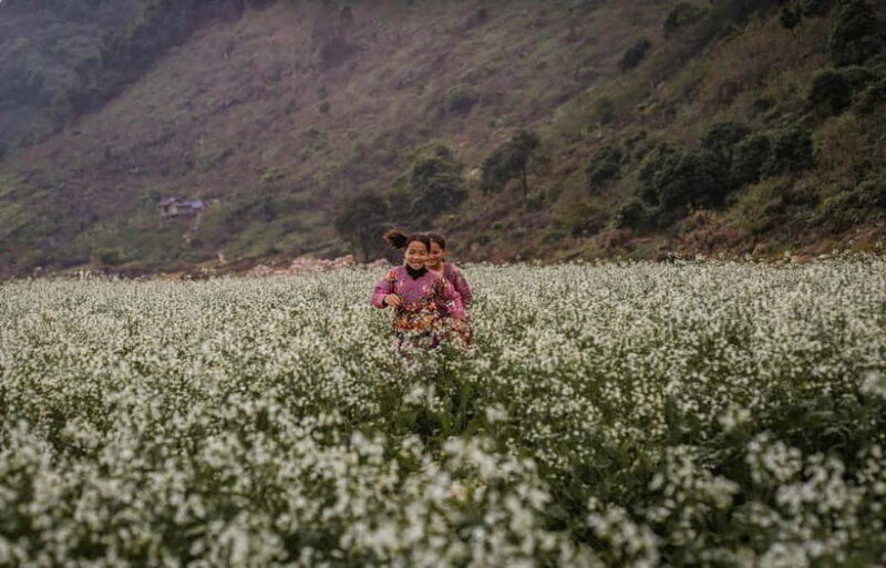 From Moc Chau: 2-Day Villages & Waterfall Tour - Authentic Experiences That Stand Out
