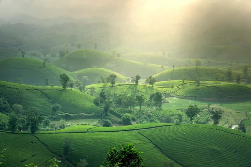 From Moc Chau: 3-Day Tea Farm and Waterfall Tour - Key Points