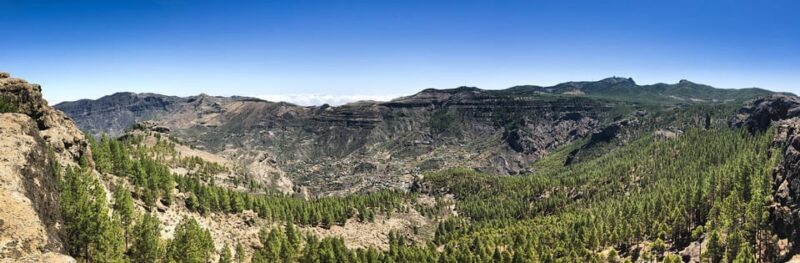 From Mogán/Maspalomas: Gran Canaria from the Heights and Incredible Views - An In-Depth Look at the Tour Experience