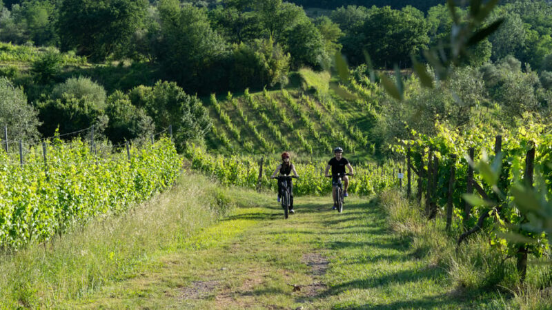 FROM MONTECATINI TERME: E-BIKE TOUR WITH WINE TASTING - Key Points