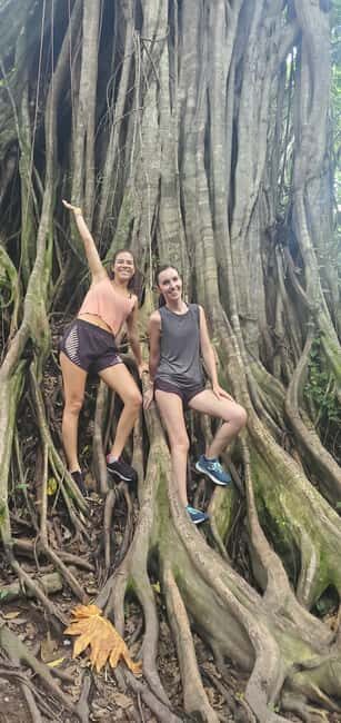 From Montego Bay: Blue Hole Waterfall Experience - In The Sum Up