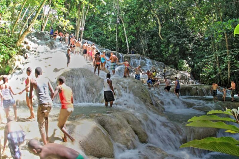 From Montego Bay: Dunns River Falls Experience - Key Points