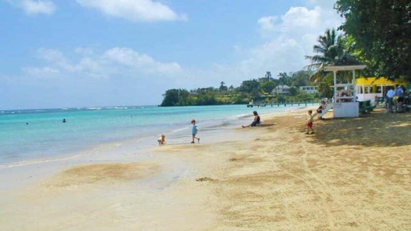 From Montego Bay: Dunns River Falls Experience - Transportation and Timing