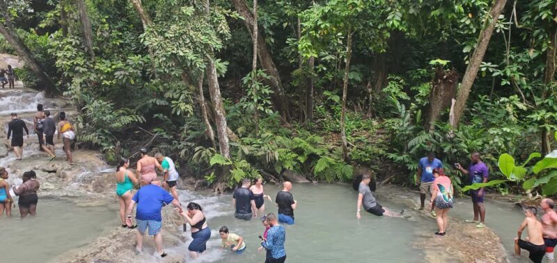 From Montego Bay: Dunns River Falls Experience - The Sum Up