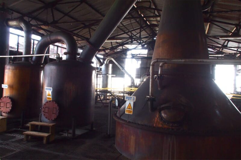 From Montego Bay: Hampden Estate Rum Tasting Tour with Lunch - Practical Details and What to Expect